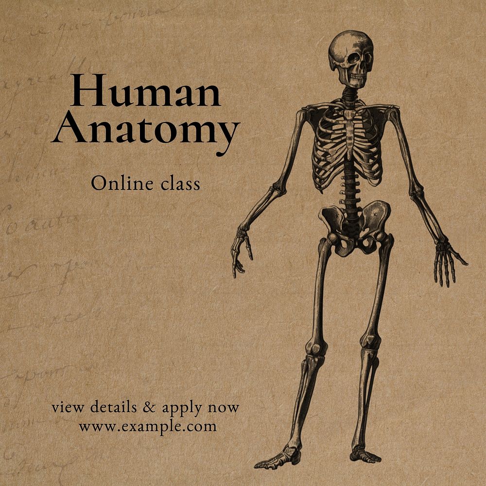 Human anatomy Instagram post template | Free Photo - rawpixel