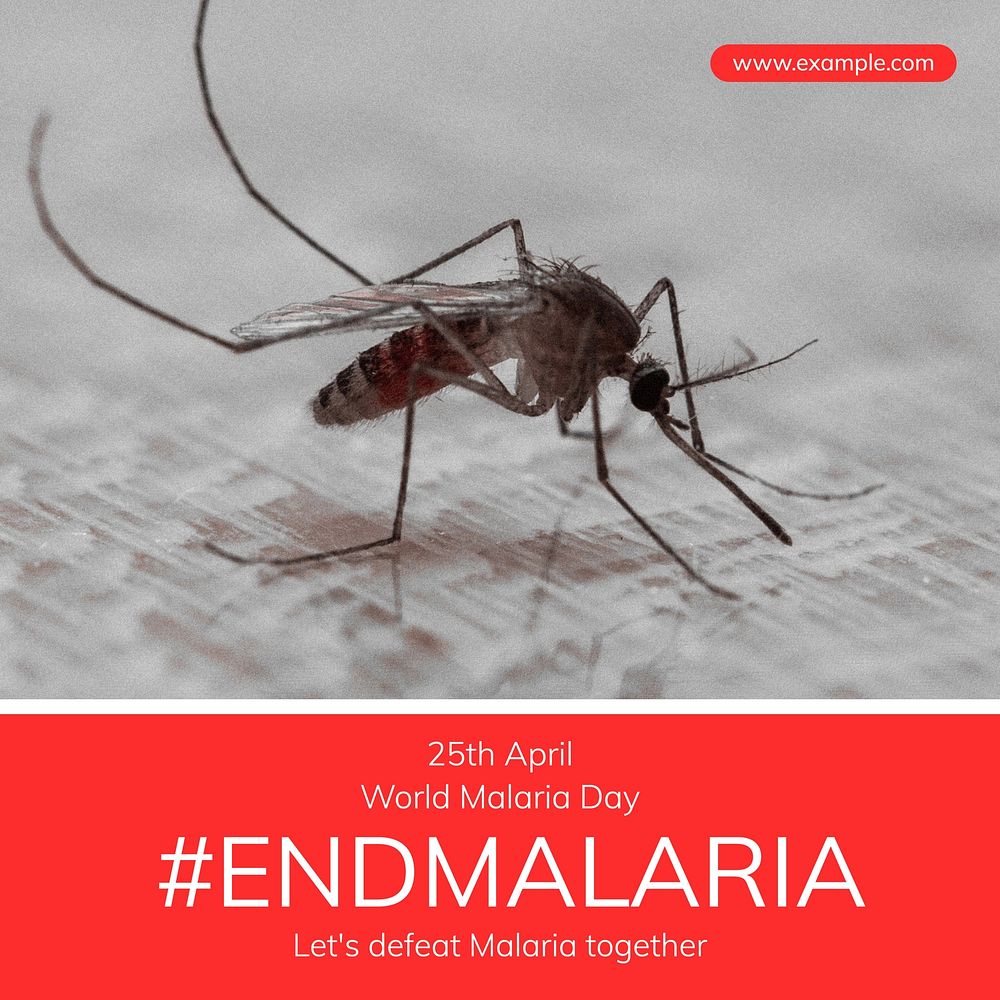 Malaria day Facebook post template | Free Photo - rawpixel