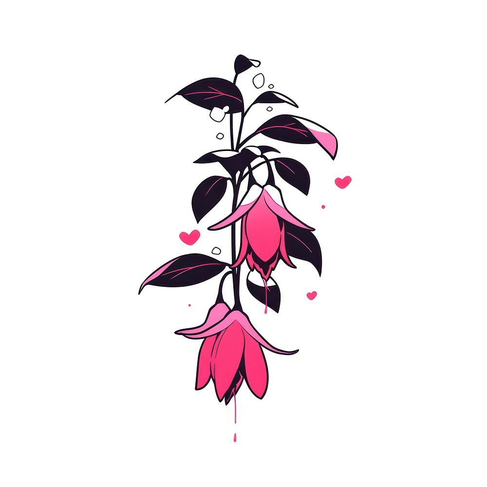 Fuchsia flower graphics pattern blossom. | Free Photo Illustration ...