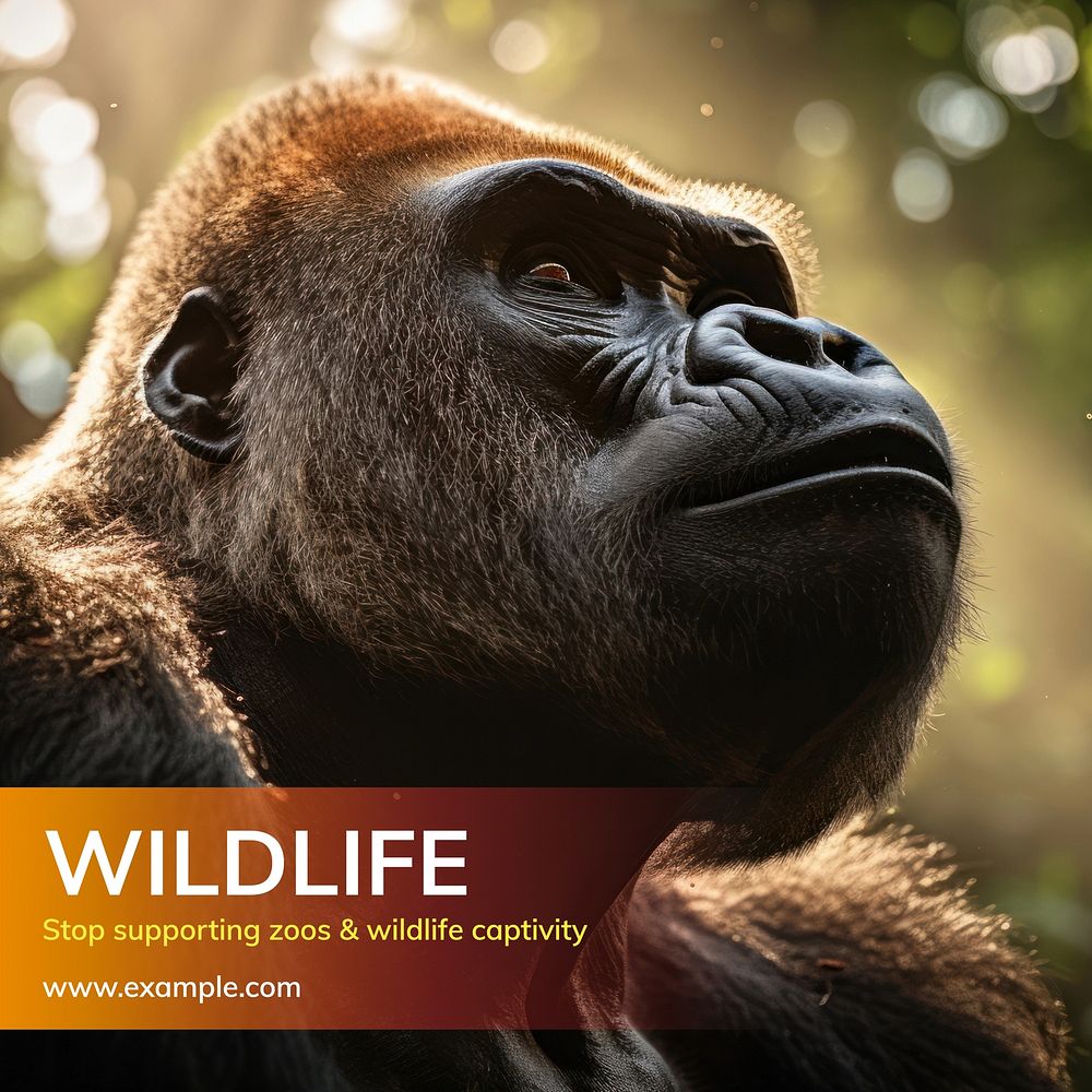 Stop poaching Instagram post template | Free Photo - rawpixel