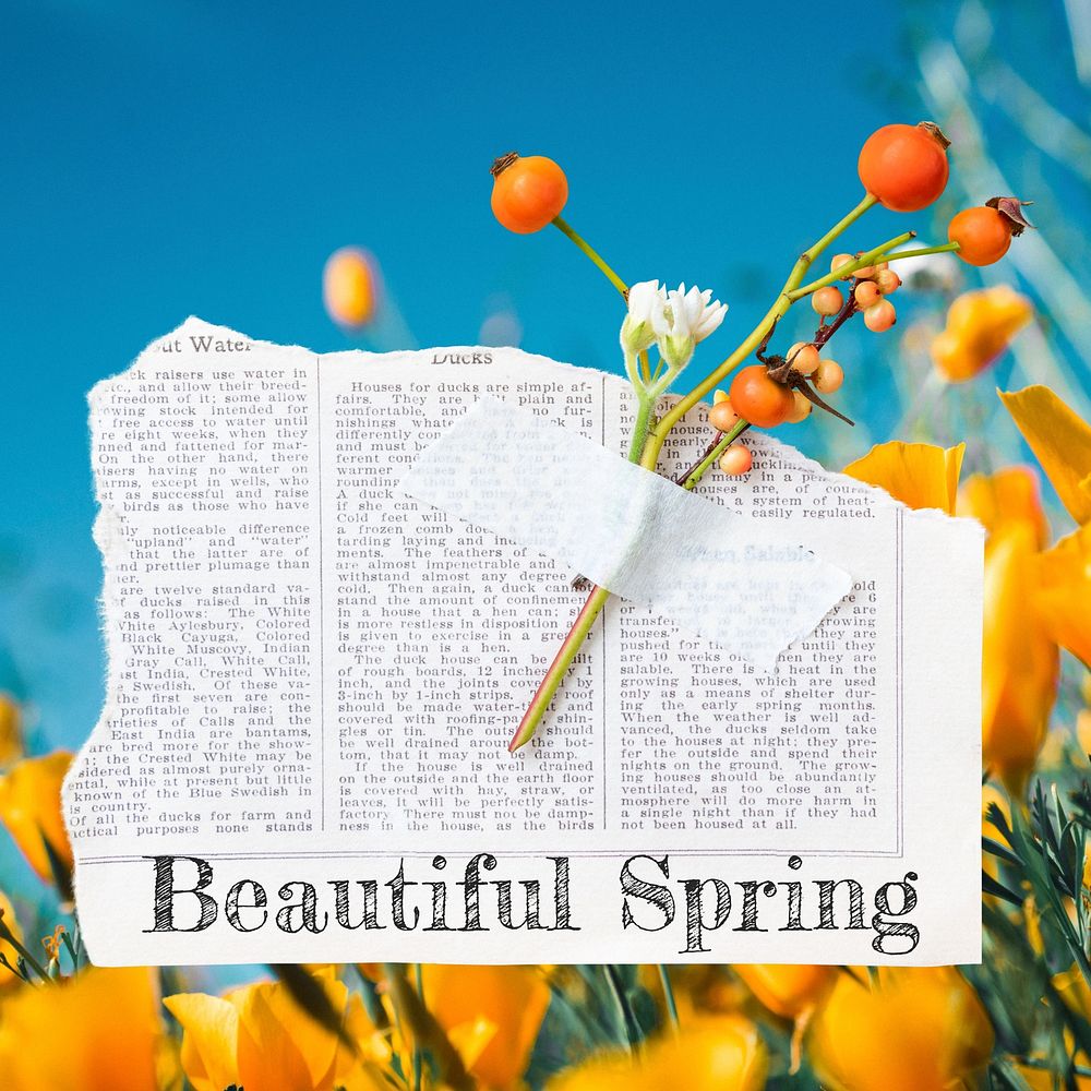 Beautiful spring Instagram post template | Free Photo - rawpixel