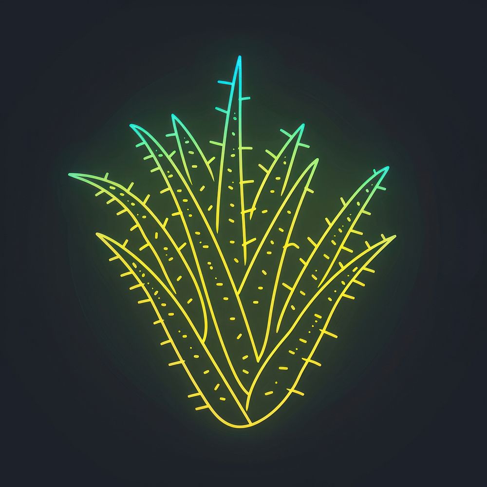 Aloe vera icon neon blackboard | Free Photo Illustration - rawpixel