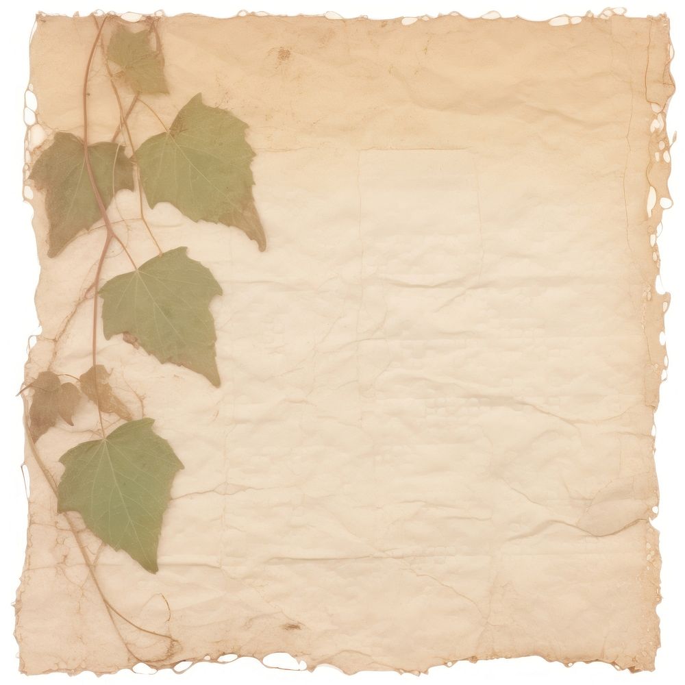 Vine ripped paper text blackboard | Free Photo Illustration - rawpixel