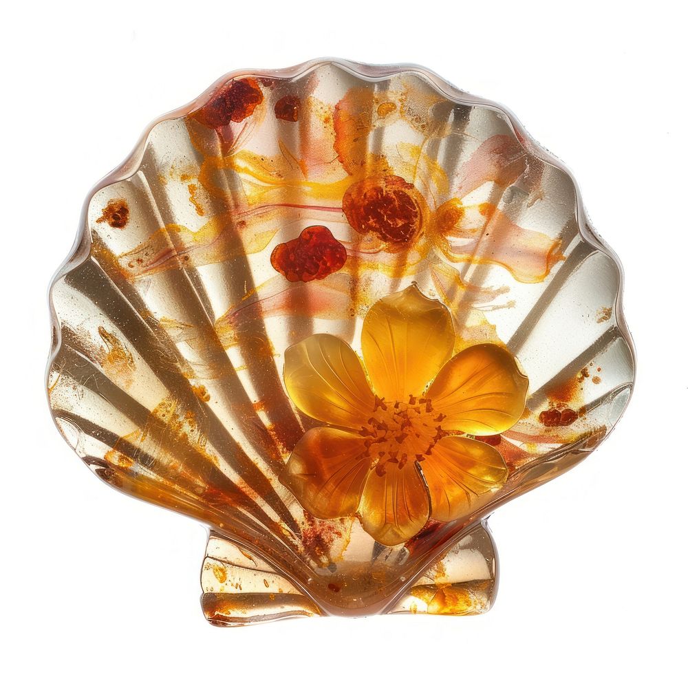 Flower resin sea shell shaped | Free Photo - rawpixel