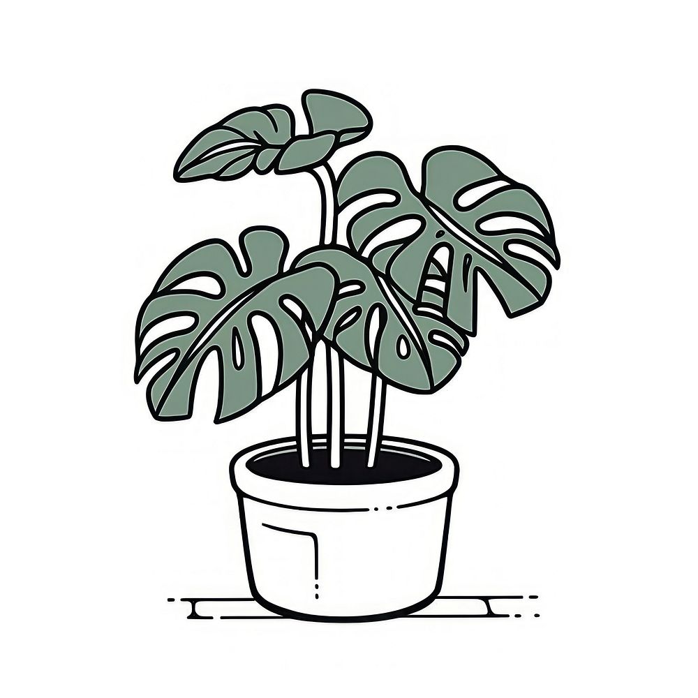 Monstera Peru Plant plant illustrated | Free Photo Illustration - rawpixel