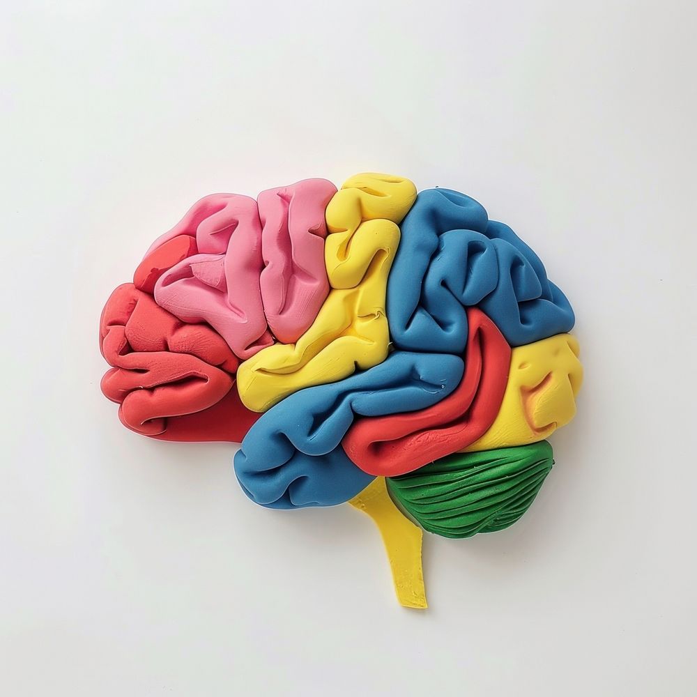 Plasticine brain outdoors blossom animal | Free Photo - rawpixel