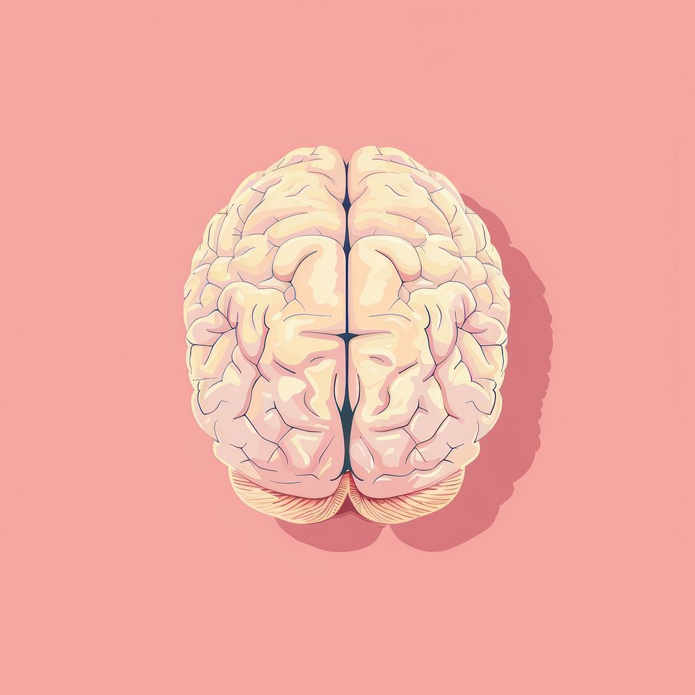 Aesthetic illustration brain vegetable football | Free Photo ...