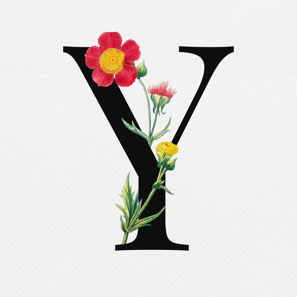 Letter Y floral font | Free Photo Illustration - rawpixel