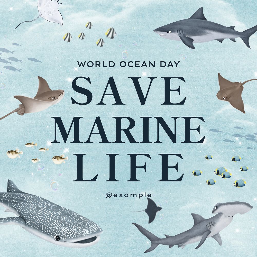Save marine life Instagram post | Free Photo - rawpixel