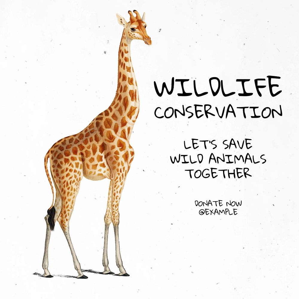 Wildlife conservation Instagram post template | Free Photo - rawpixel