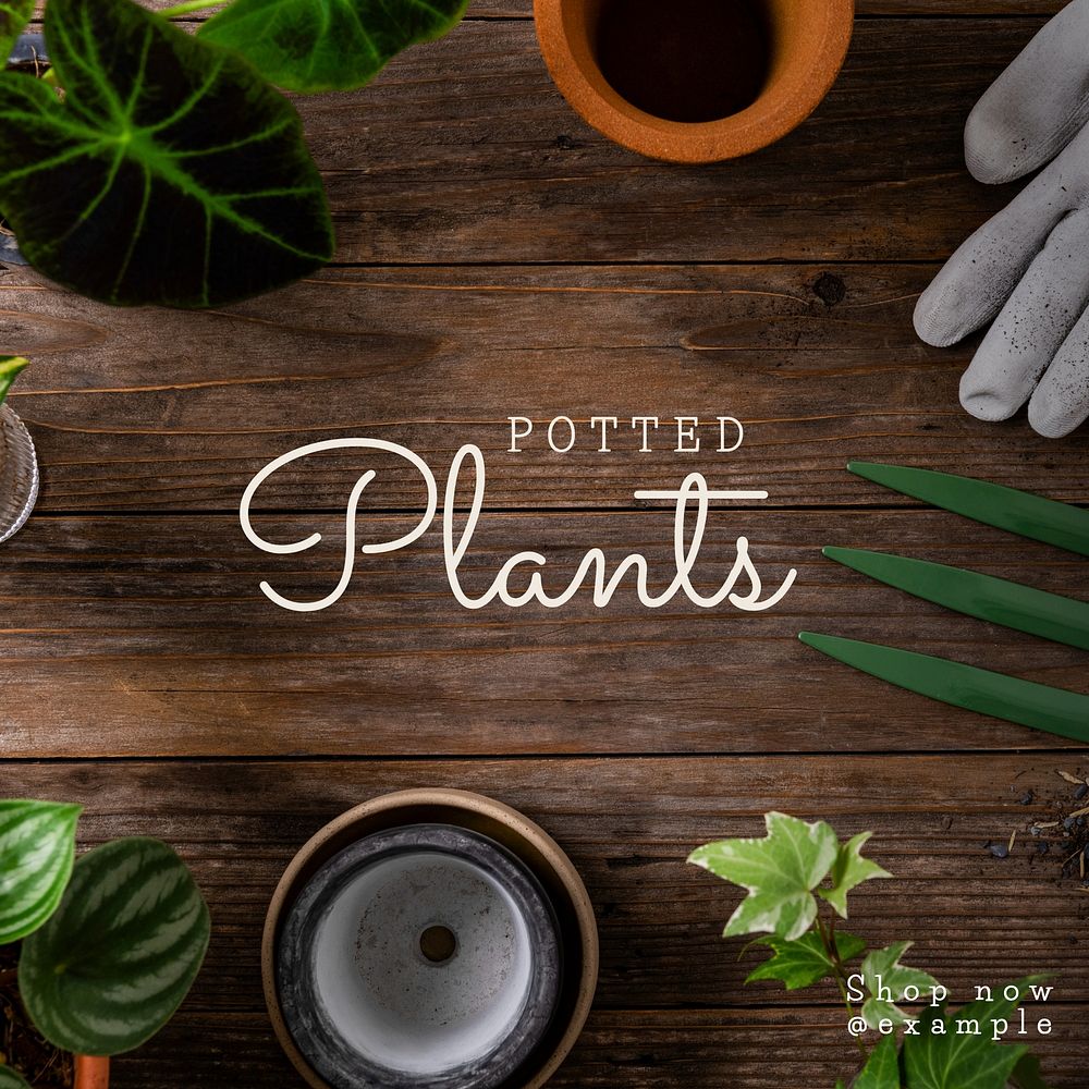 Potted plants Facebook post template | Free Photo - rawpixel