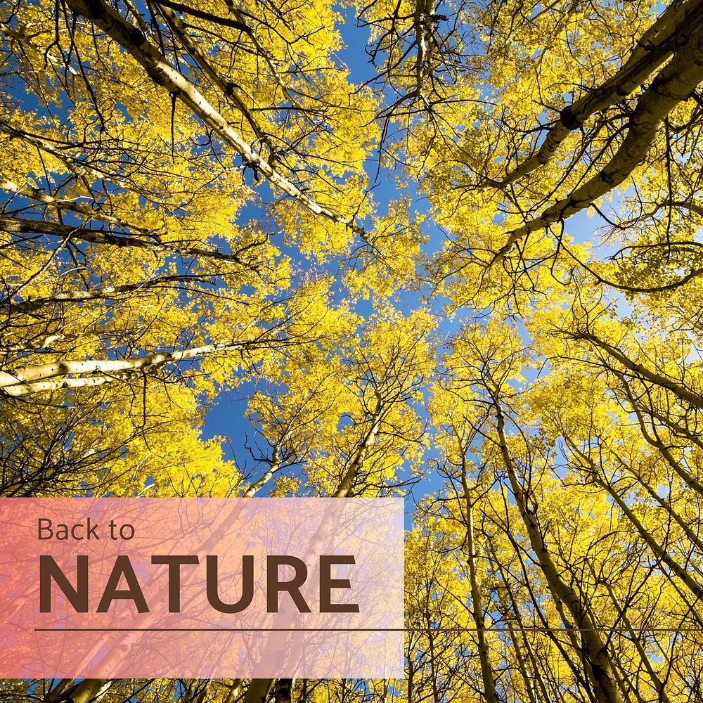 Happy Fall Instagram post template | Free Photo - rawpixel