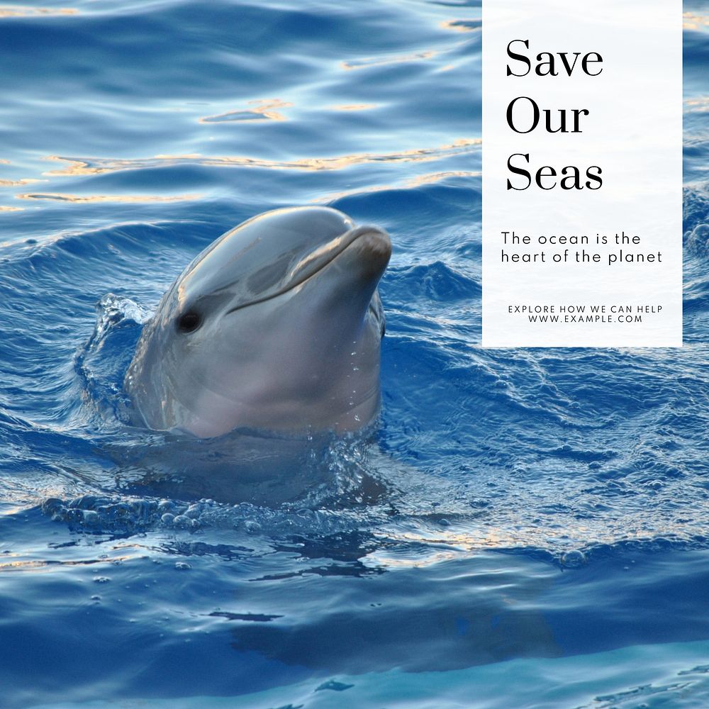 Save seas Instagram post template | Free Photo - rawpixel