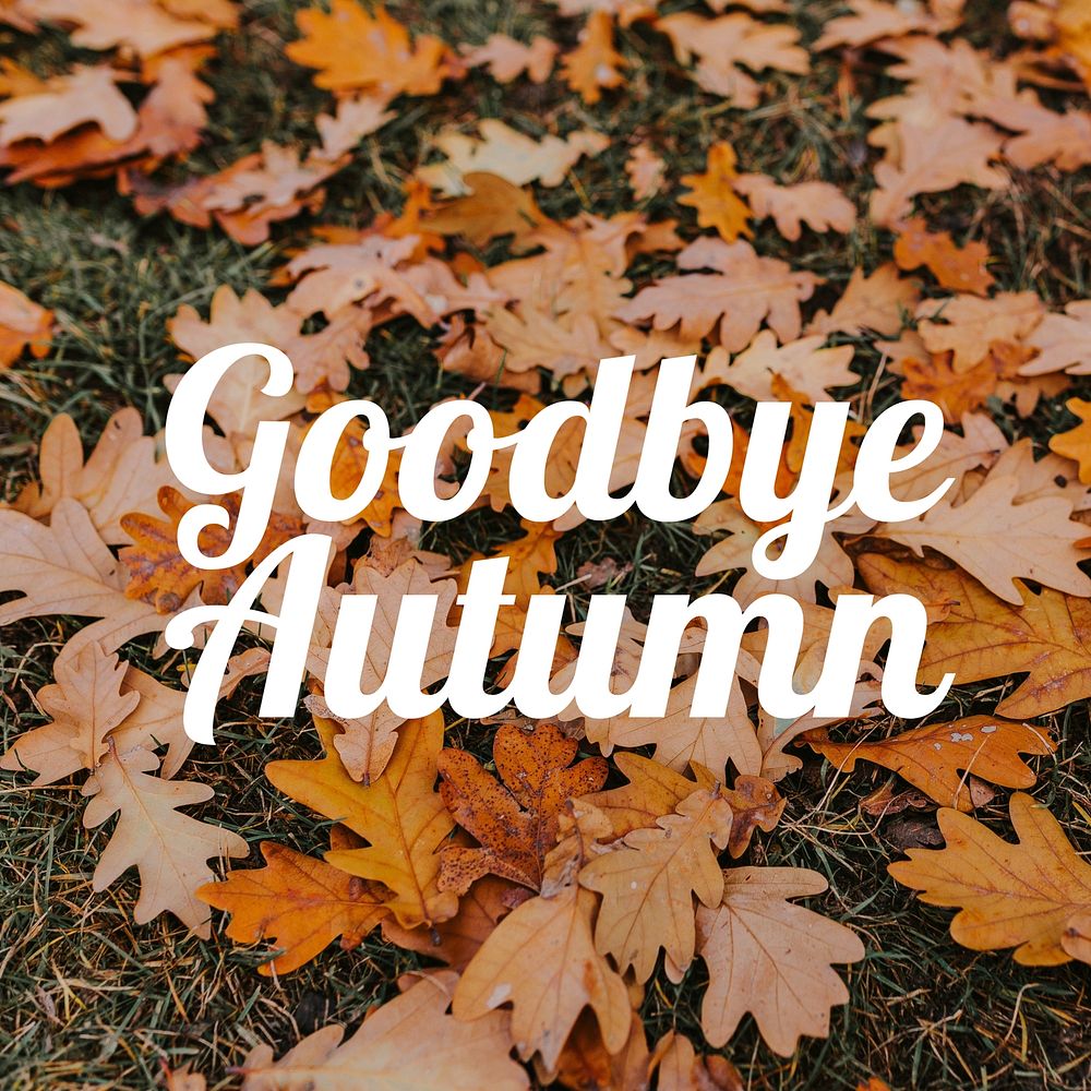 Goodbye autumn Instagram post template | Free Photo - rawpixel
