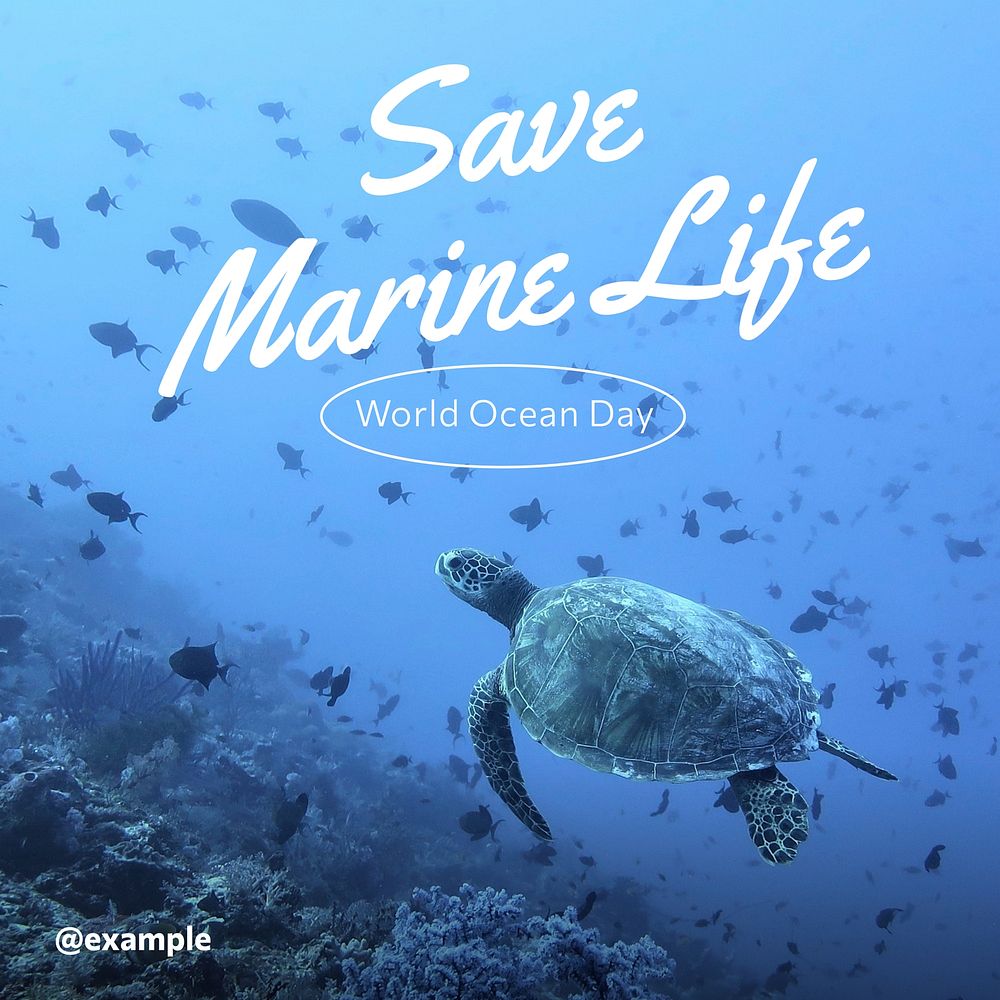 Save marine life Instagram post | Free Photo - rawpixel
