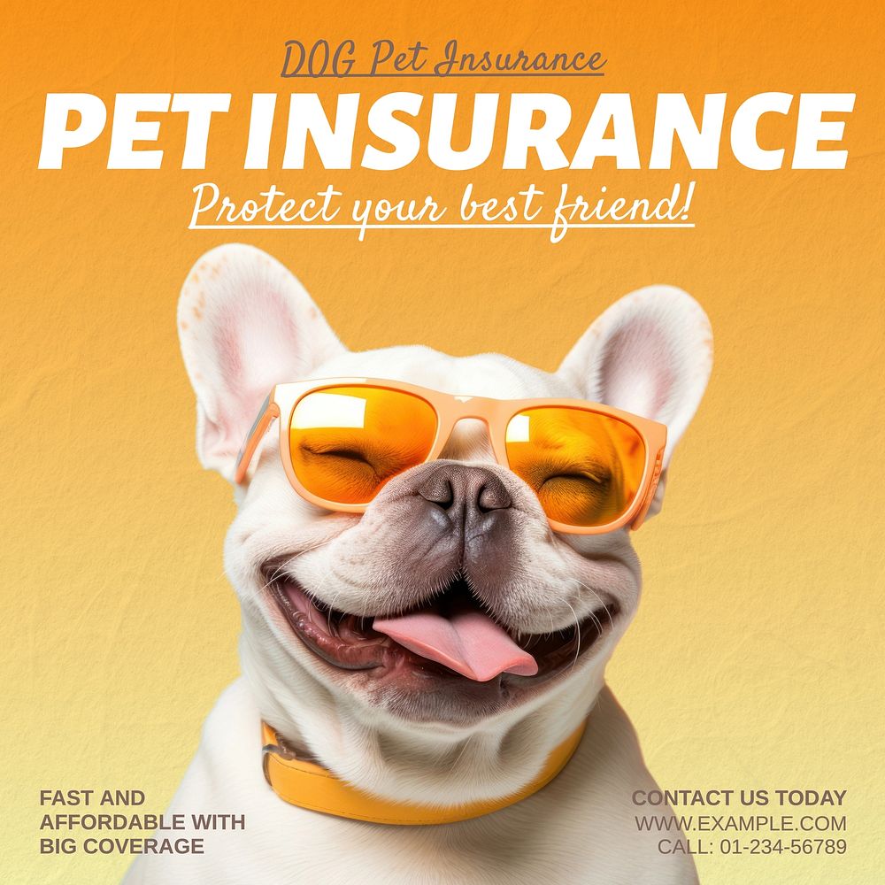 Pet insurance Instagram post template | Free Photo - rawpixel