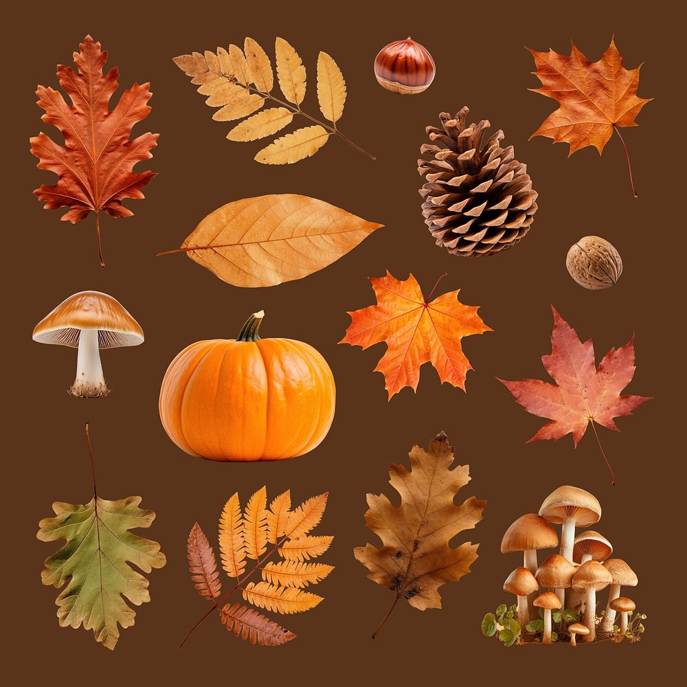 Autumn leaf element set | Premium Photo - rawpixel