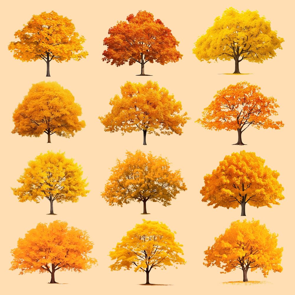 Autumn yellow tree set | Free Photo - rawpixel