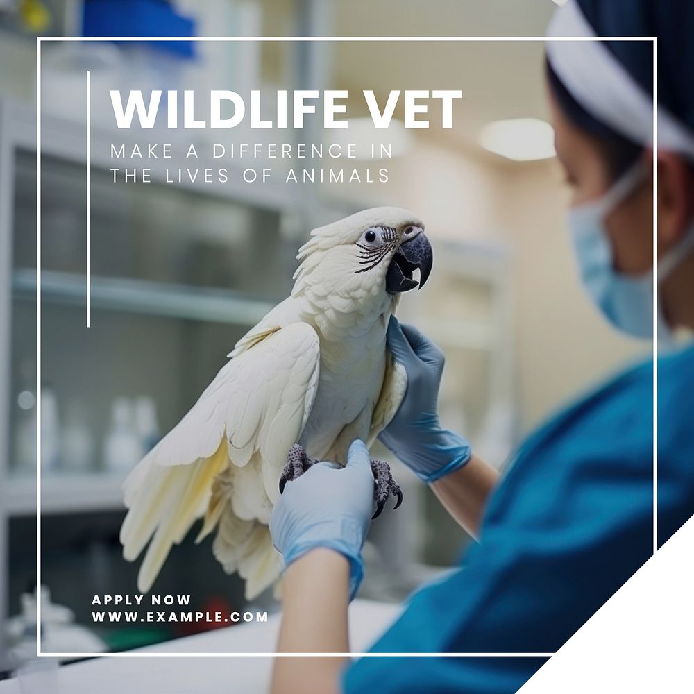 Wildlife vet Instagram post template | Free Photo - rawpixel