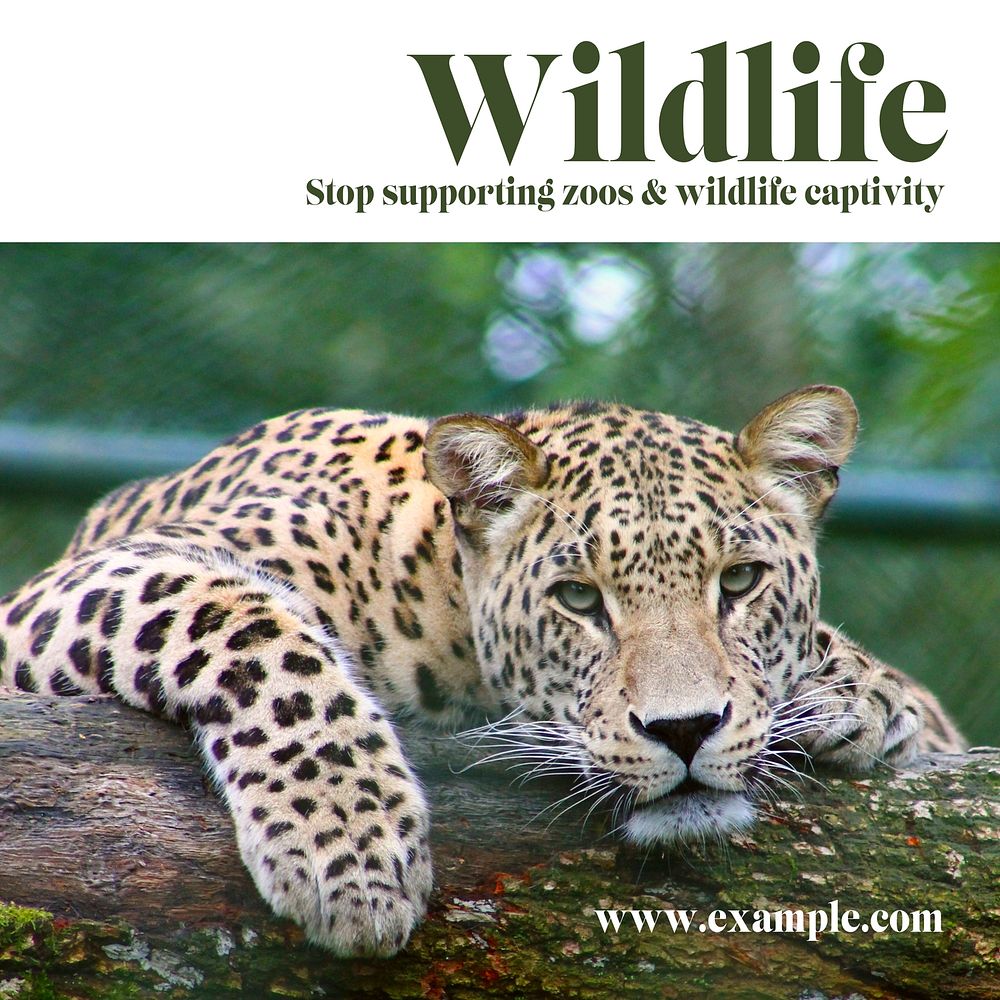 Stop poaching Instagram post template | Free Photo - rawpixel