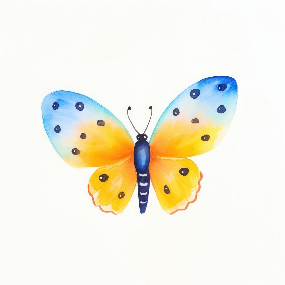 Butterfly insect art invertebrate. | Free Photo Illustration - rawpixel