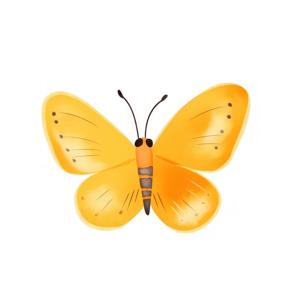 Butterfly insect invertebrate firefly. | Free Photo Illustration - rawpixel