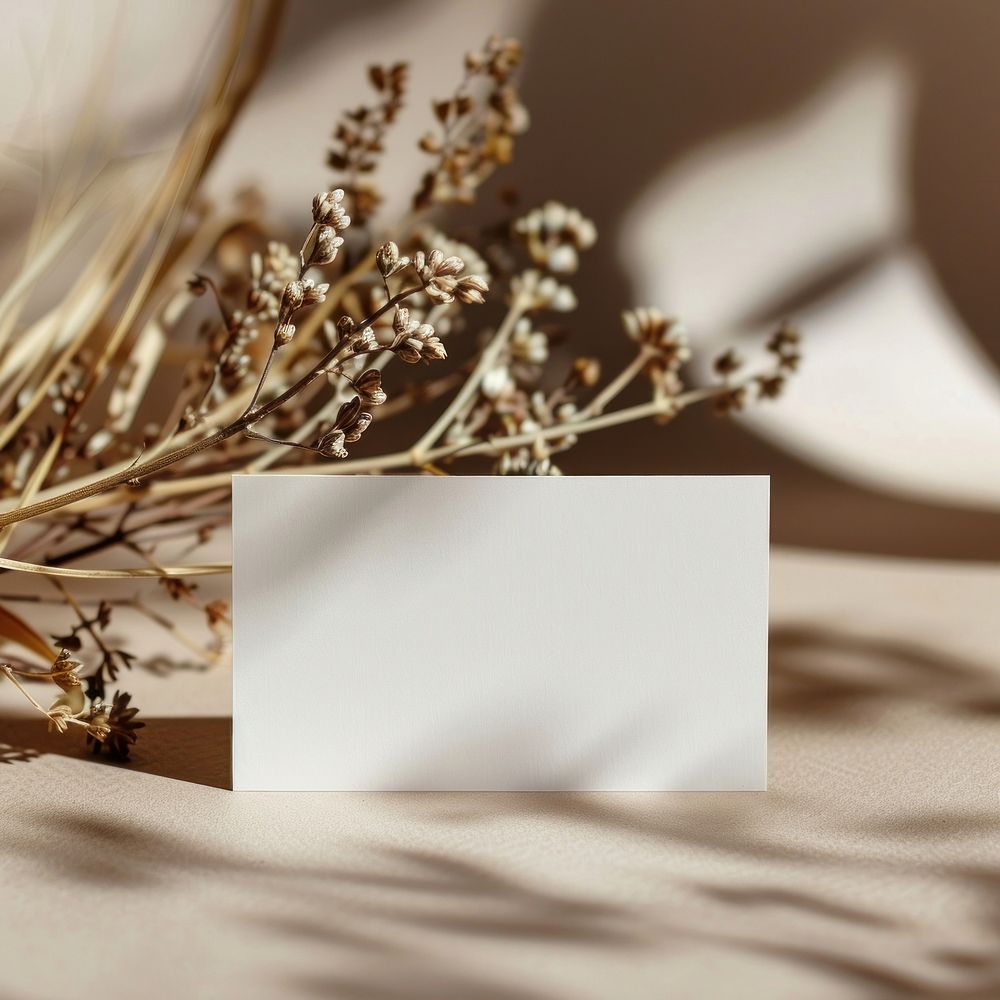 Business card accessories accessory blossom. | Free Photo - rawpixel