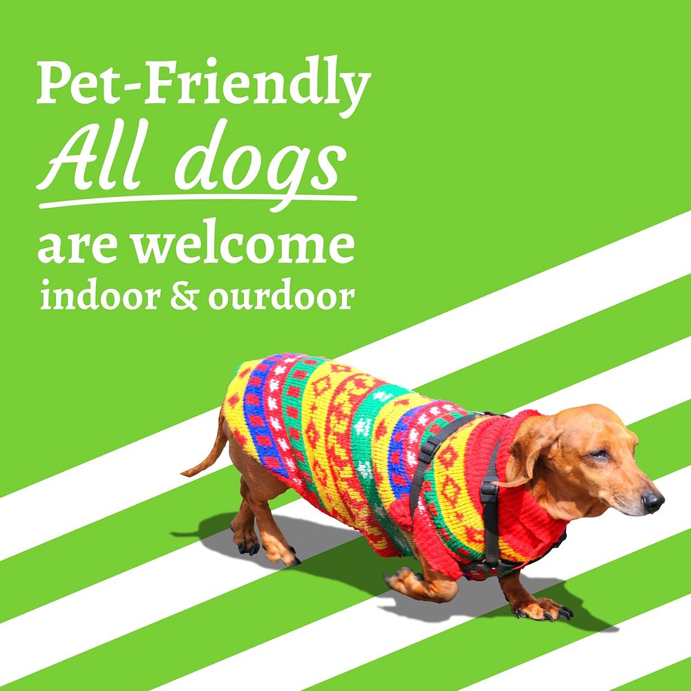 Funky Welcome Images | Free Photos, PNG Stickers, Wallpapers ...