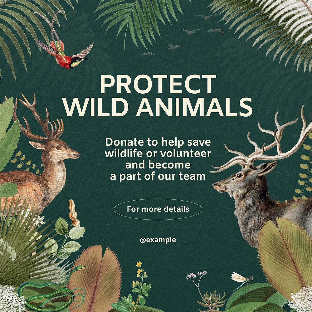 Protect wildlife Instagram post template | Free Photo - rawpixel