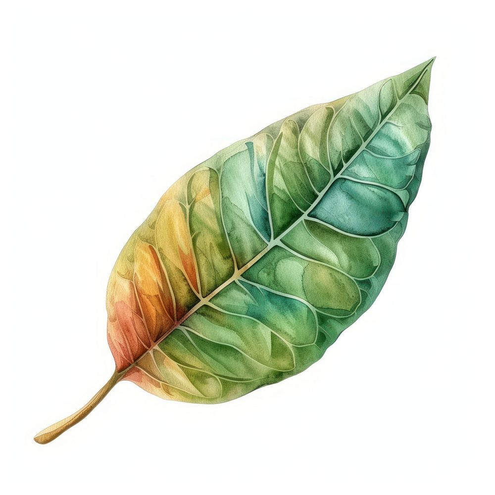 Croton leaf tobacco person tattoo. | Free Photo Illustration - rawpixel