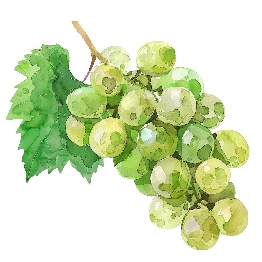 Green grapes football produce soccer. | Free Photo Illustration - rawpixel
