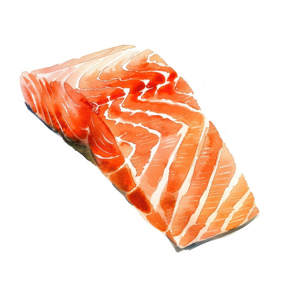 Fresh salmon fillet illustration | Free Photo Illustration - rawpixel