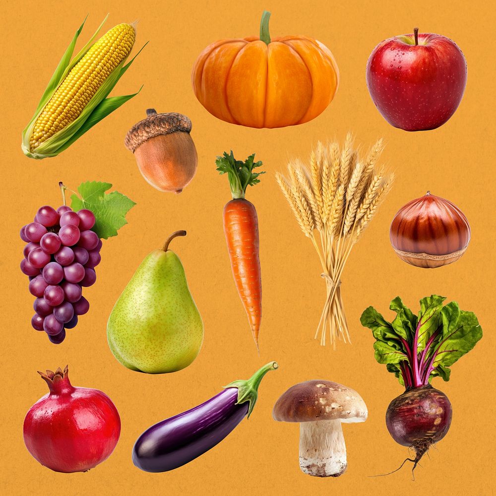 Autumn fruit vegetable element set | Free Photo - rawpixel