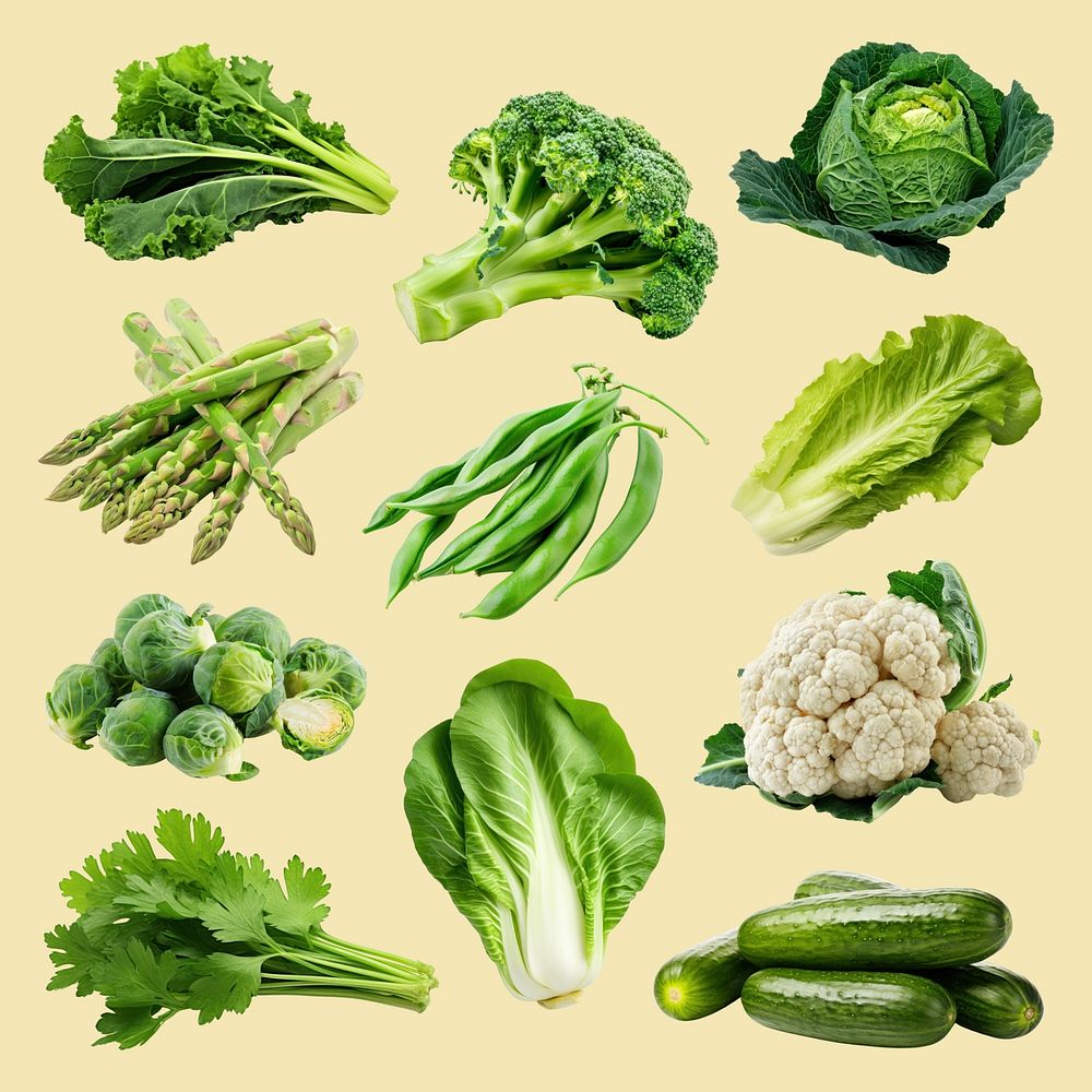 Fresh organic vegetable element set | Free Photo - rawpixel