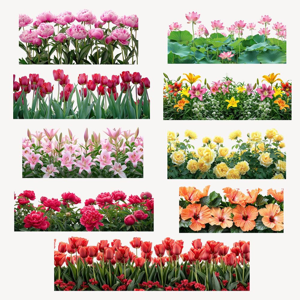 Beautiful flower border element set | Free Photo - rawpixel