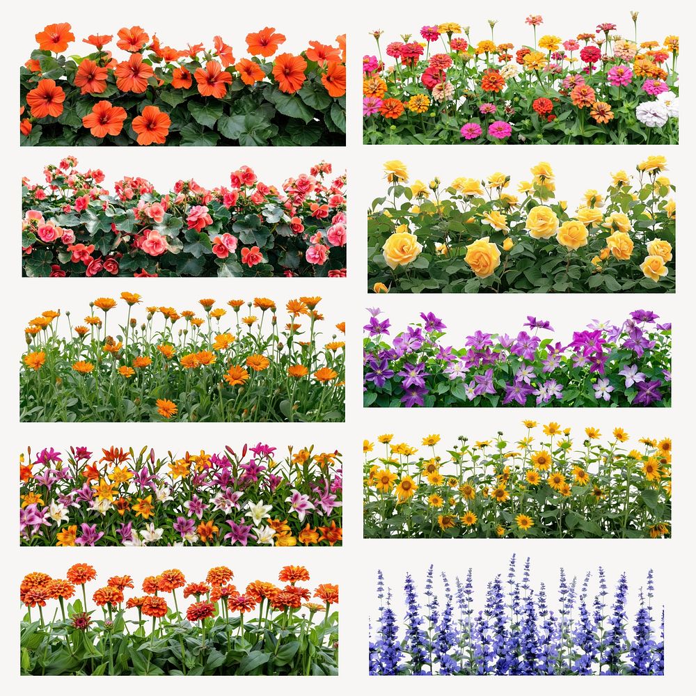Summer flower border element set | Free Photo - rawpixel