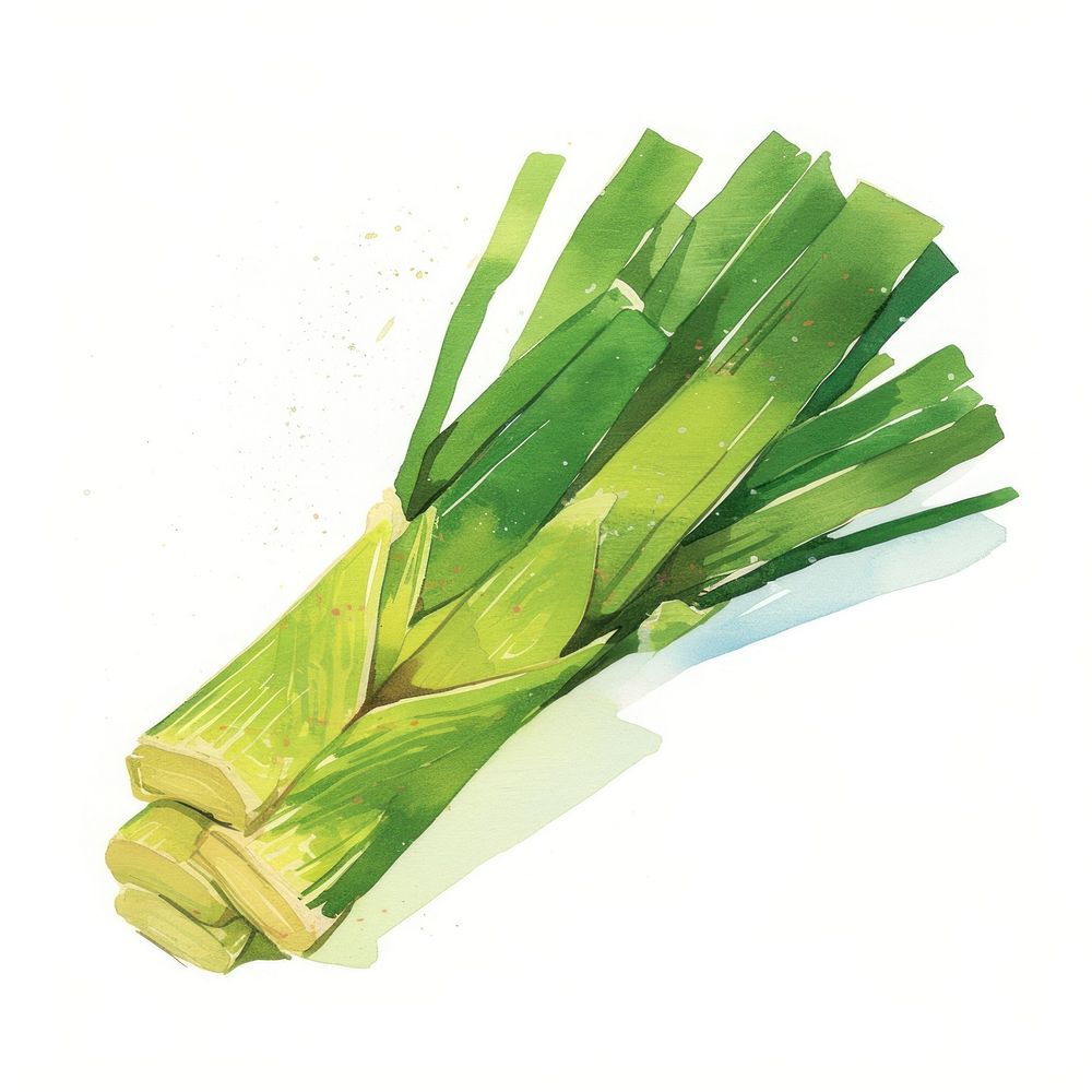 A leek vegetable produce plant. | Free Photo Illustration - rawpixel