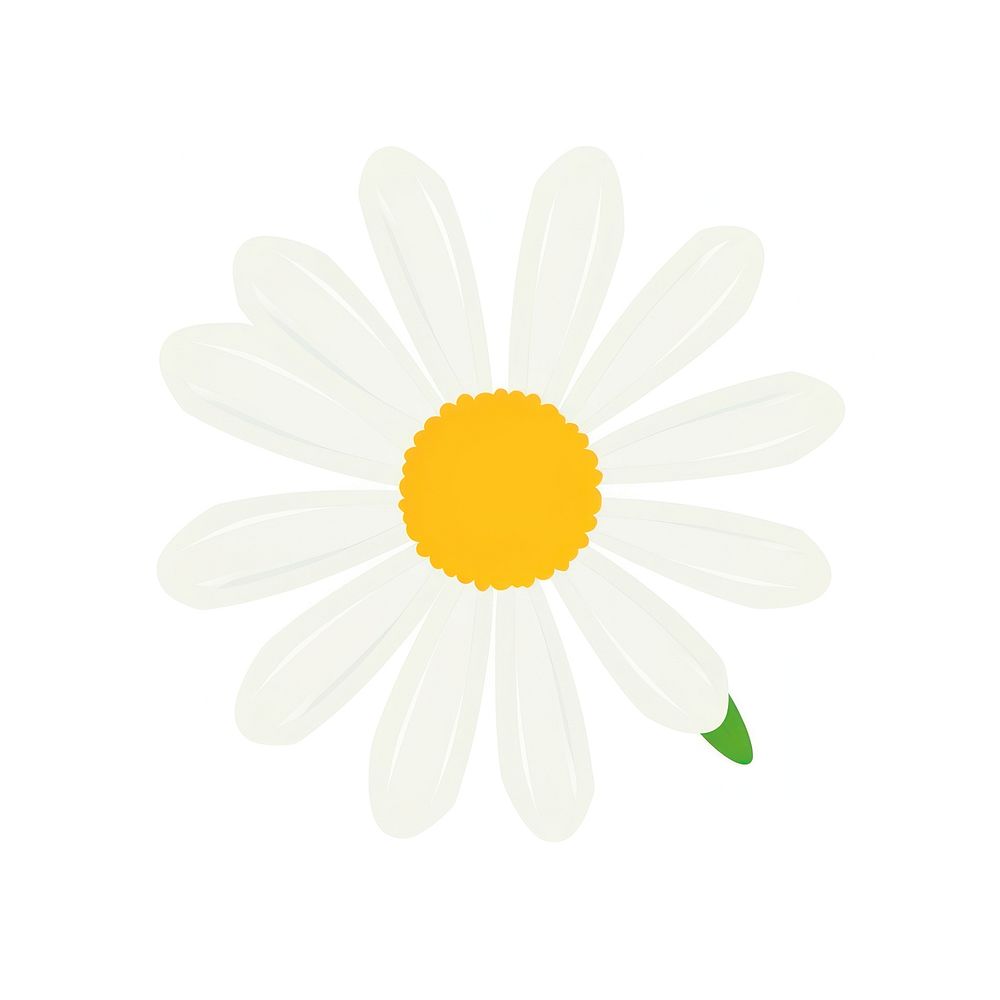 Simple daisy flower illustration | Free Photo Illustration - rawpixel