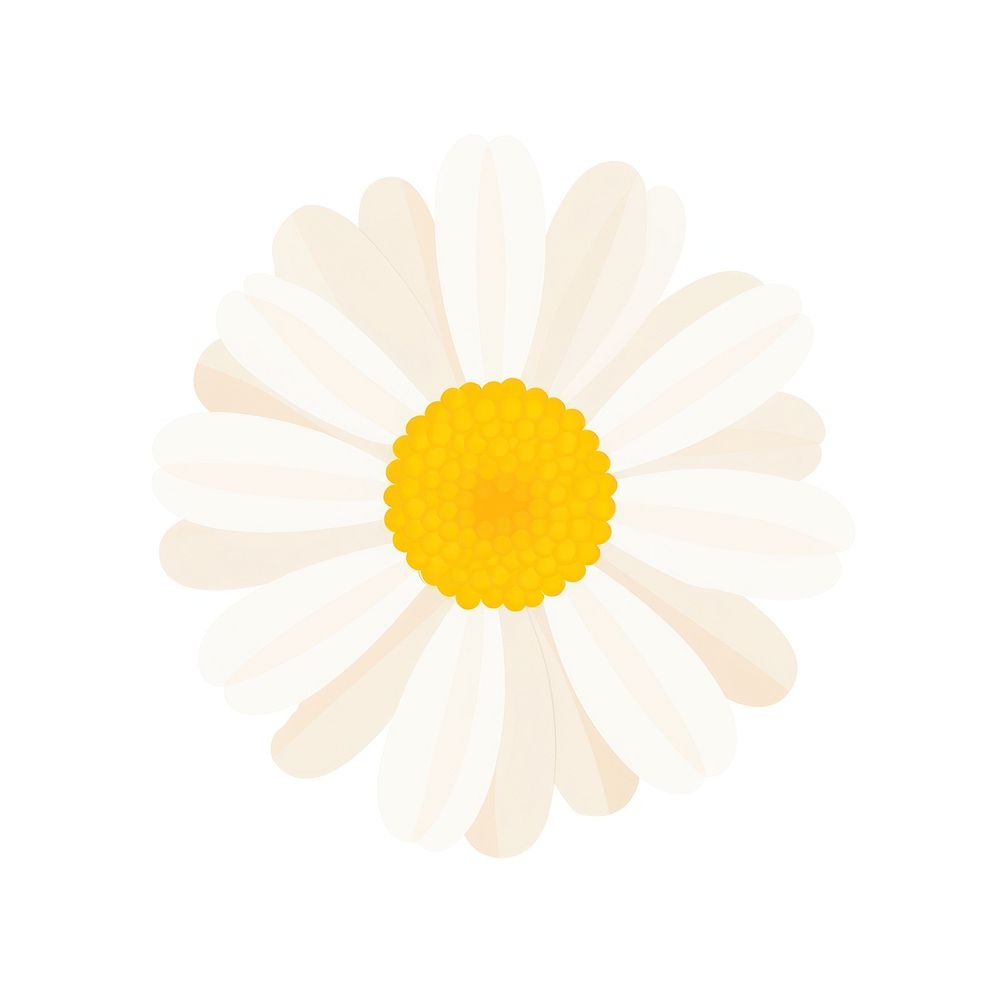 Bright daisy flower illustration design | Free Photo Illustration ...