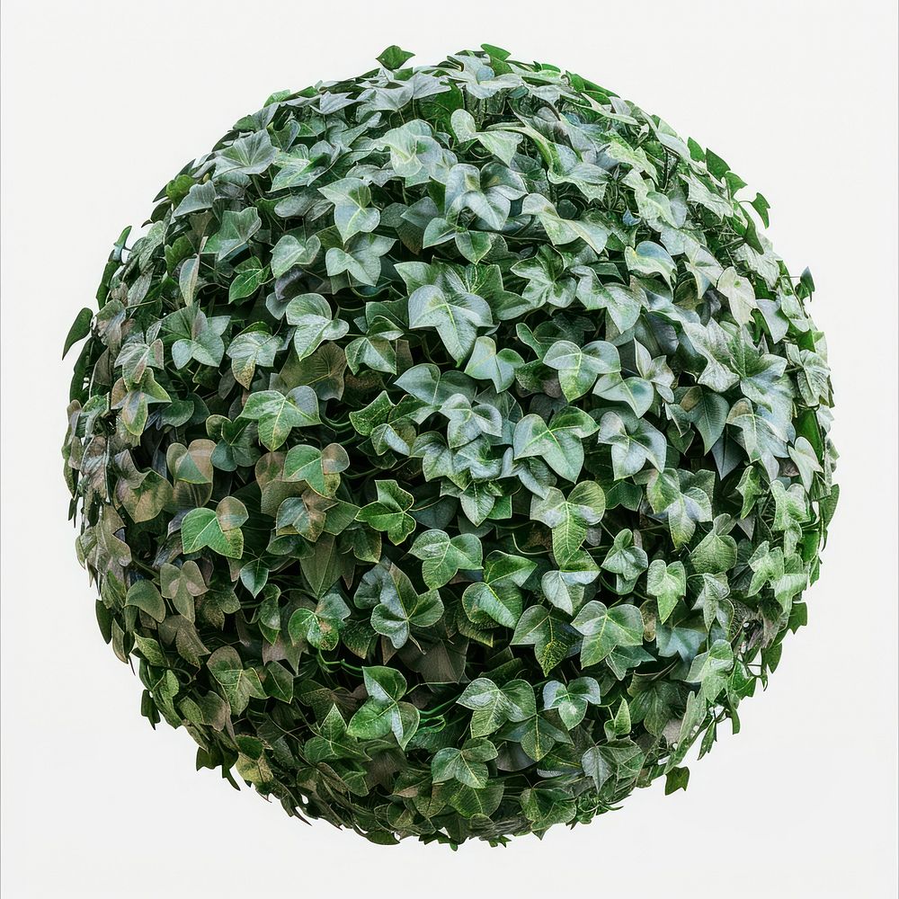 Spherical ivy plant decor | Free Photo - rawpixel