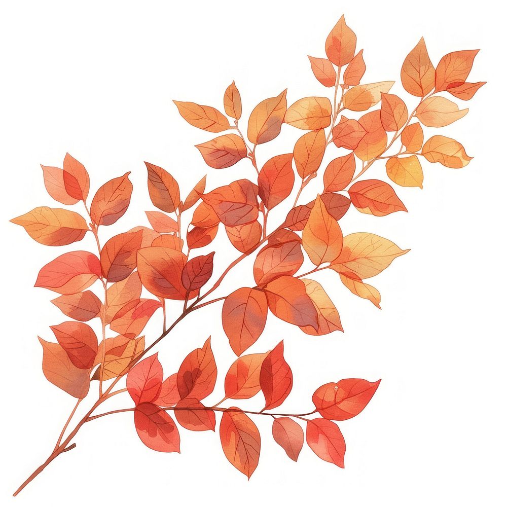Autumn leaf branch art graphics | Free Photo Illustration - rawpixel