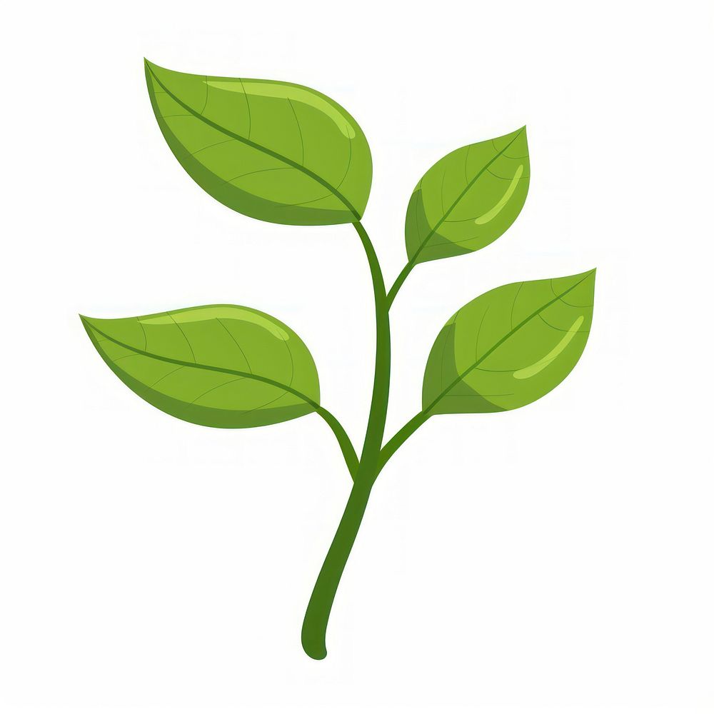 Curve leaves herbal sprout plant. | Free Photo Illustration - rawpixel