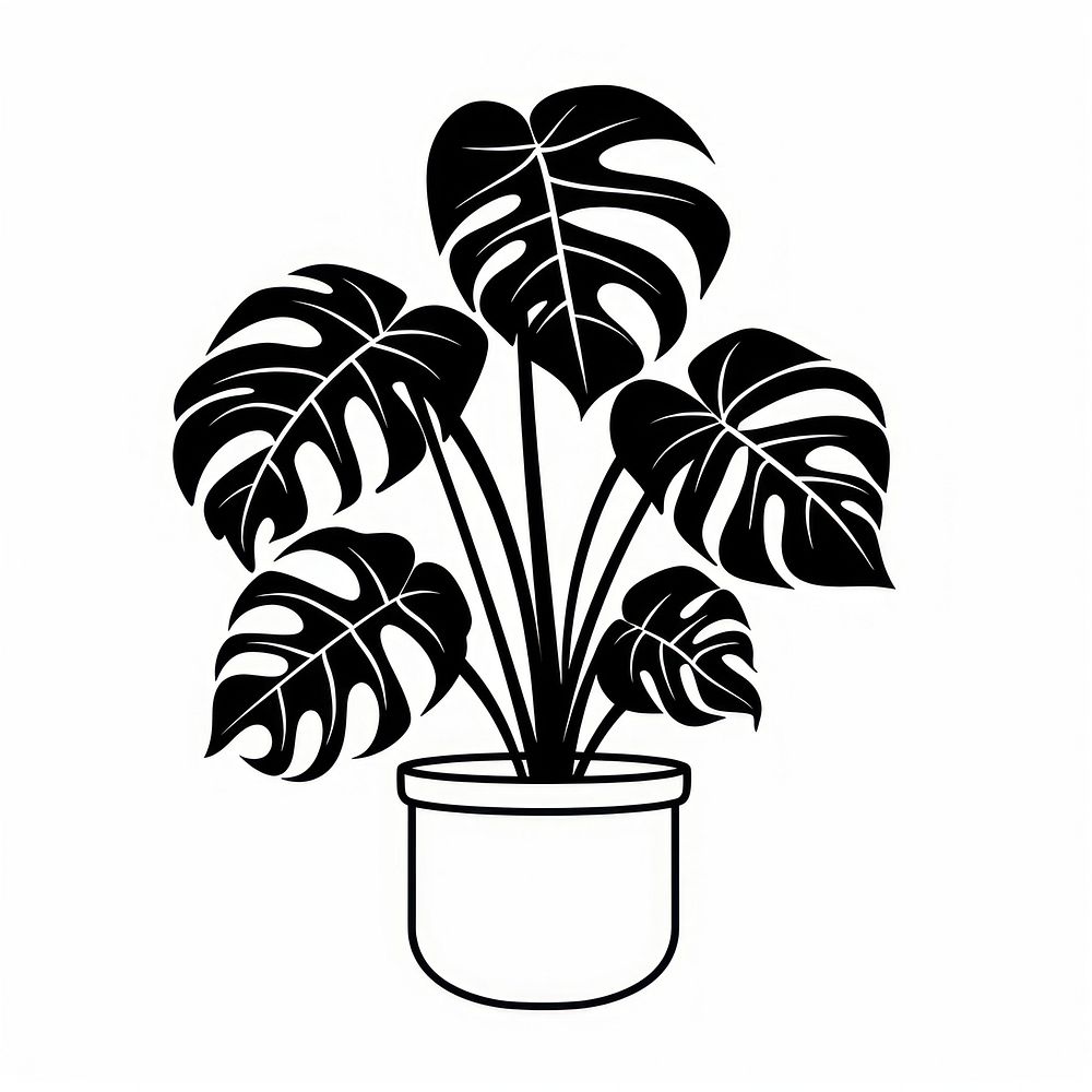 Monstera cartoon illustration plant illustrated | Free Photo ...
