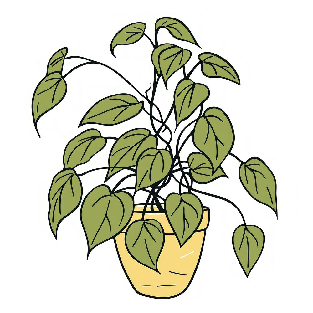 Golden pothos cartoon illustration plant | Free Photo Illustration ...