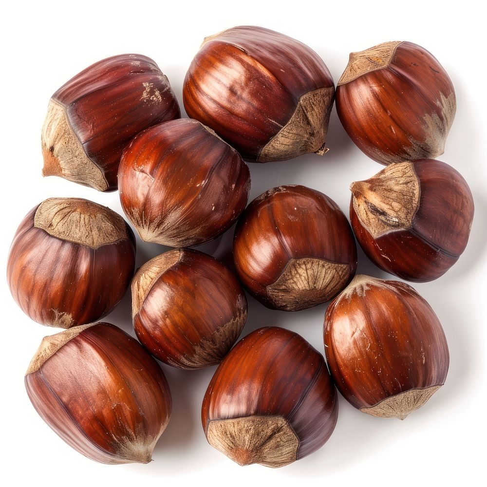 Fresh brown hazelnuts isolated | Free Photo - rawpixel