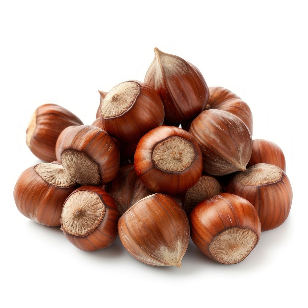 Fresh organic hazelnuts isolated background | Free Photo - rawpixel