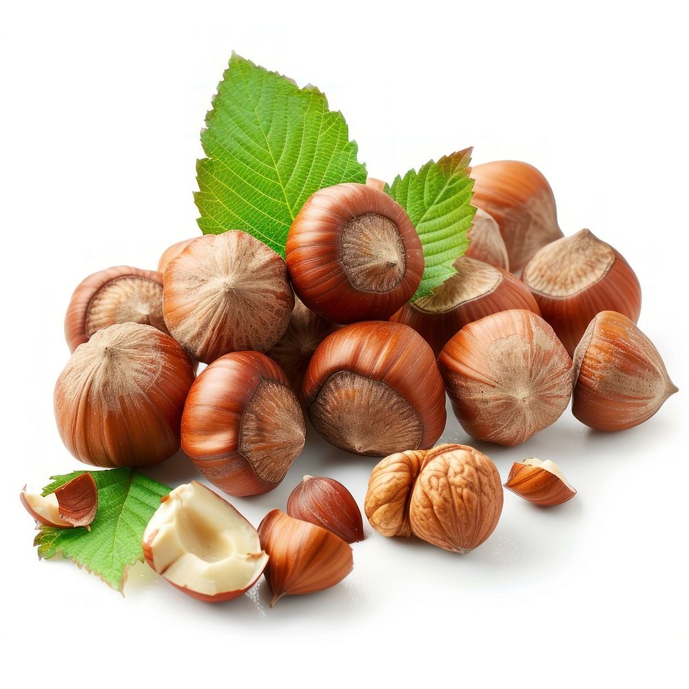 Fresh hazelnuts with green leaves | Free Photo - rawpixel