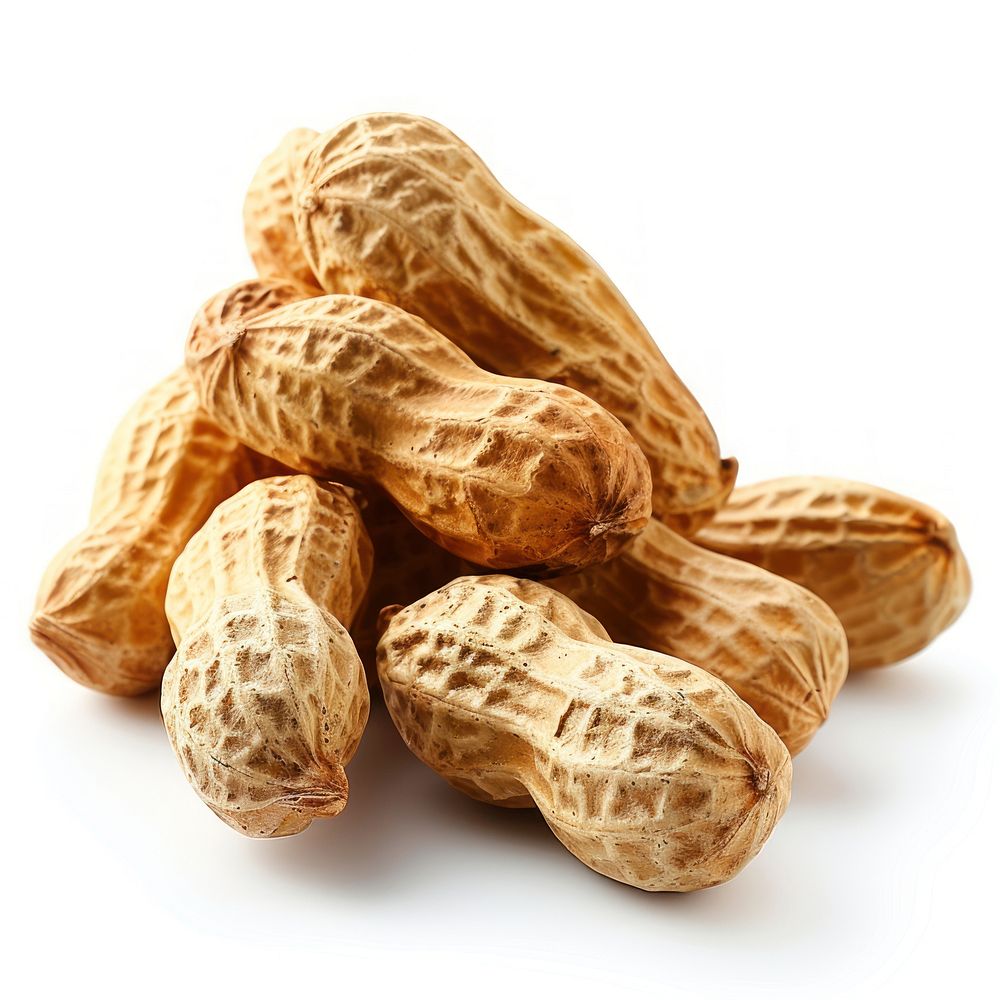 Fresh roasted peanuts in shell | Free Photo - rawpixel