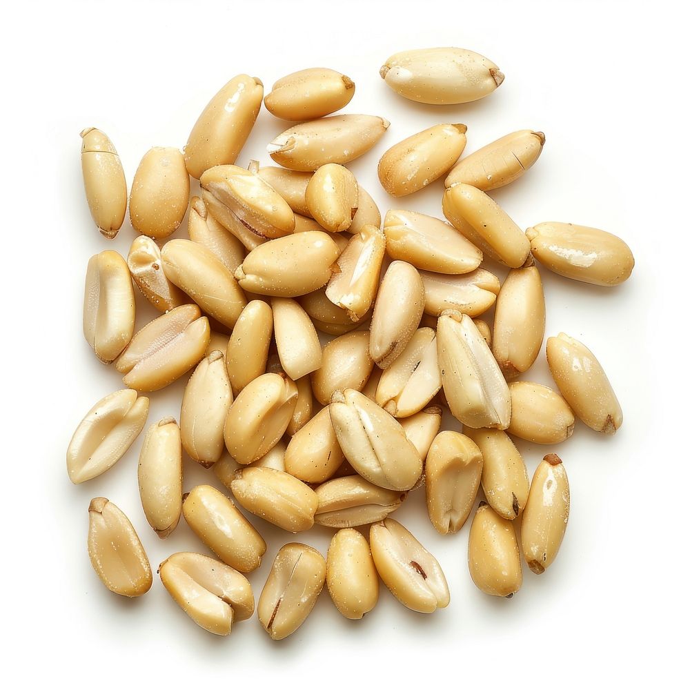Roasted peanuts on white background | Free Photo - rawpixel