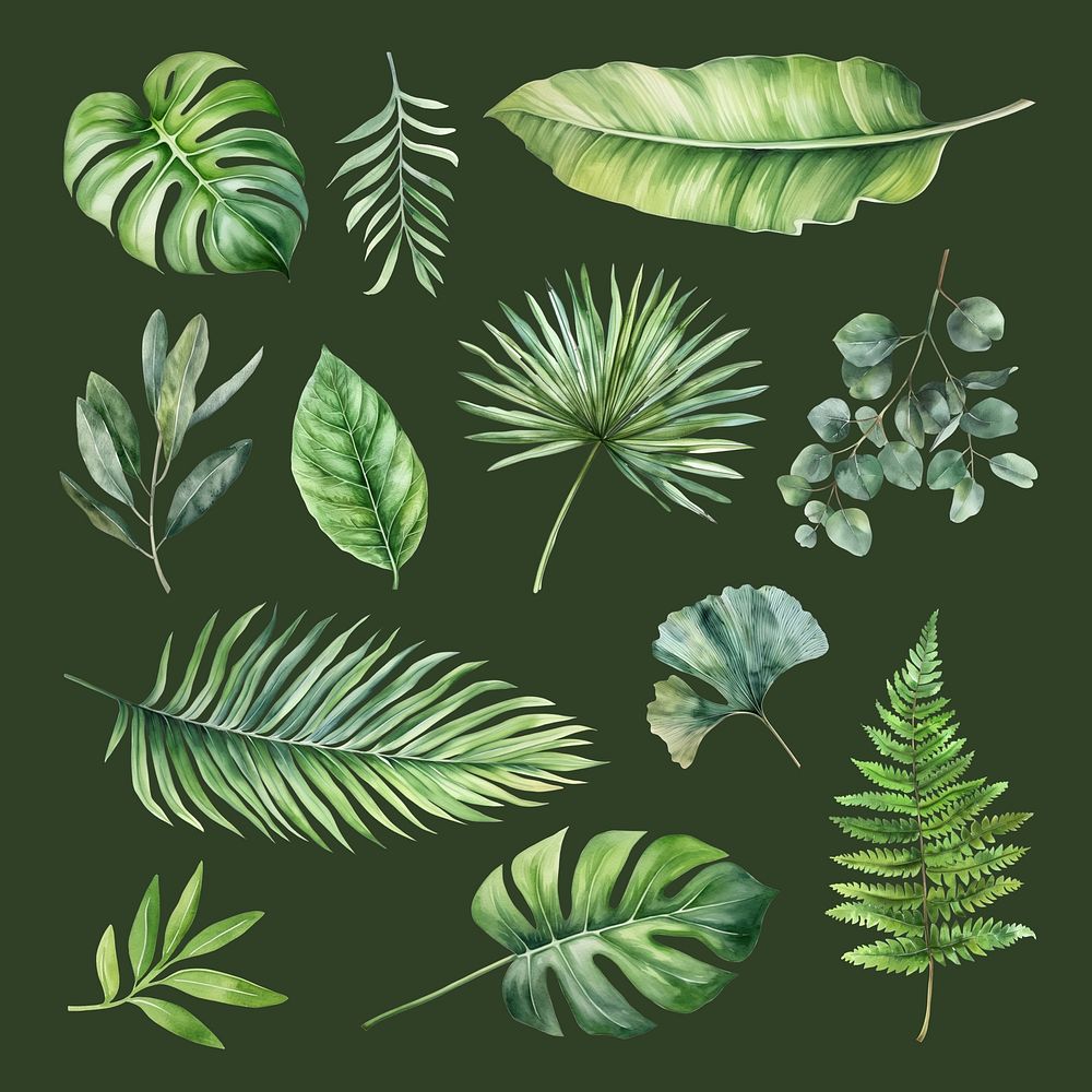 tropical leaves element set | Free Photo - rawpixel